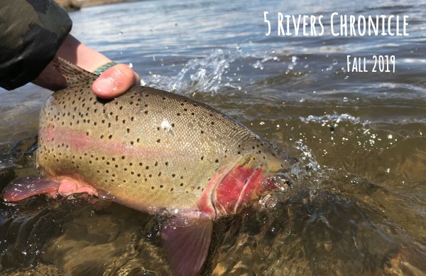 5 Rivers Chronicle- Fall 2019 by Andrew Loffredo - Flipsnack