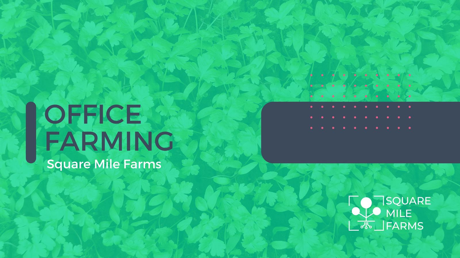 Office Farming: Square Mile Farms by Square Mile Farms - Flipsnack