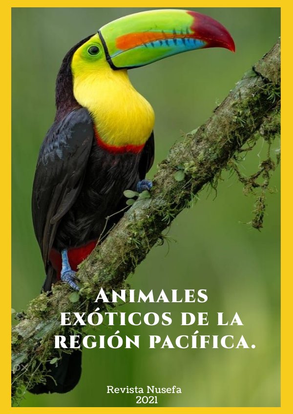 Animales exóticos de la región pacifica. by Bryan Vanegas - Flipsnack