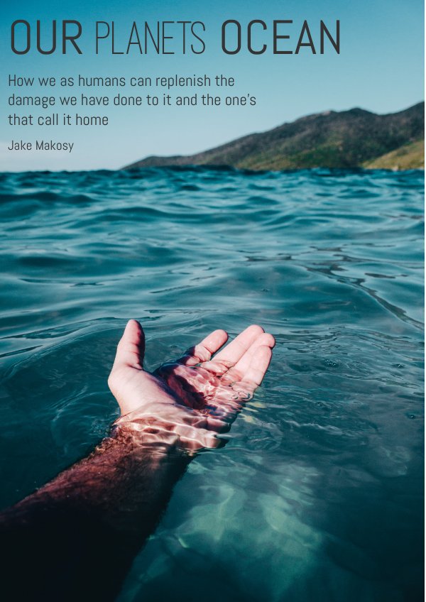 Assignment #2 - Global Environmental Issues Zines - Jake Makosy by Jake ...