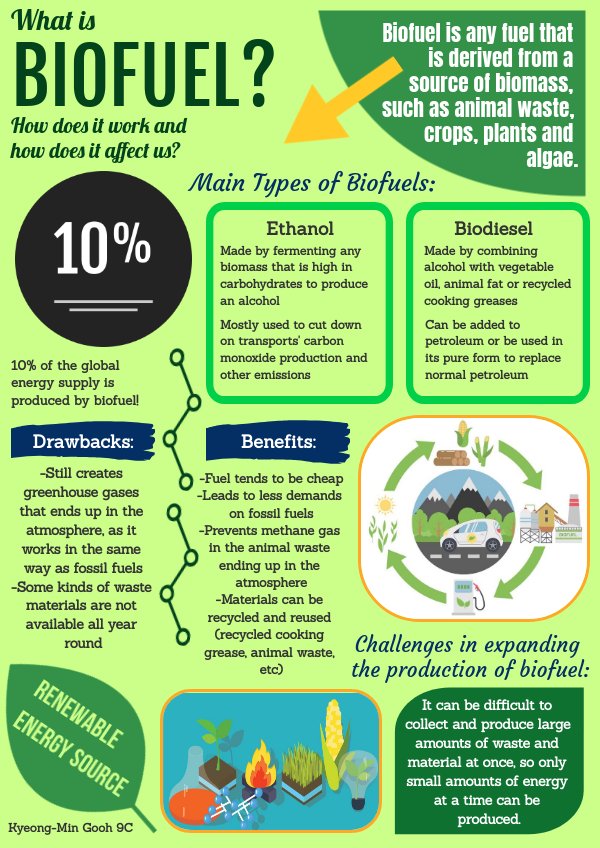 Biofuel Infograph by Kyeong-Min Gooh - Flipsnack