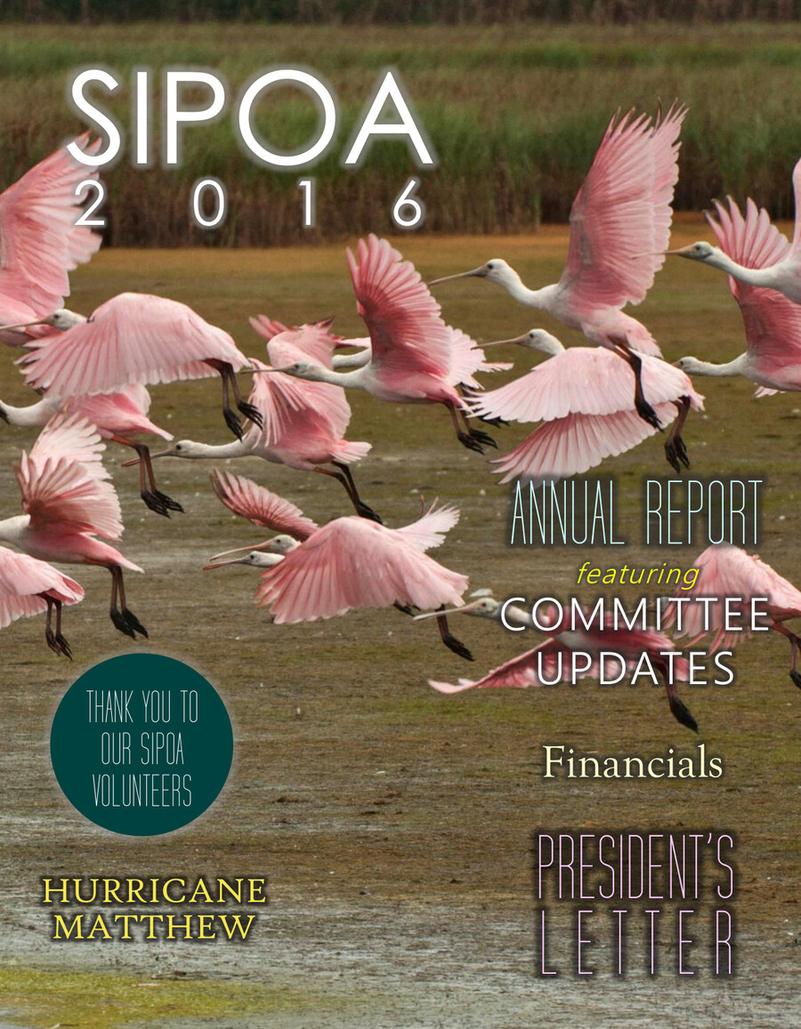 SIPOA 2016 Annual Report by Seabrook Island POA - Flipsnack