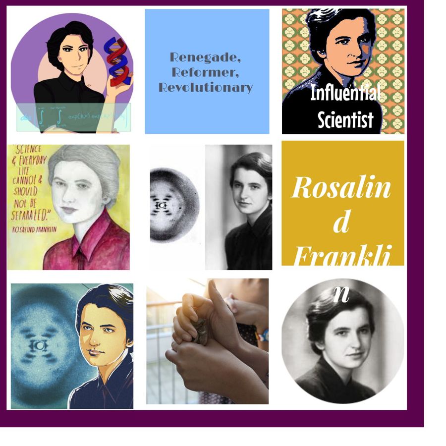 Amazing Scientists: Rosalind Franklin by Stacy Holcombe - Flipsnack