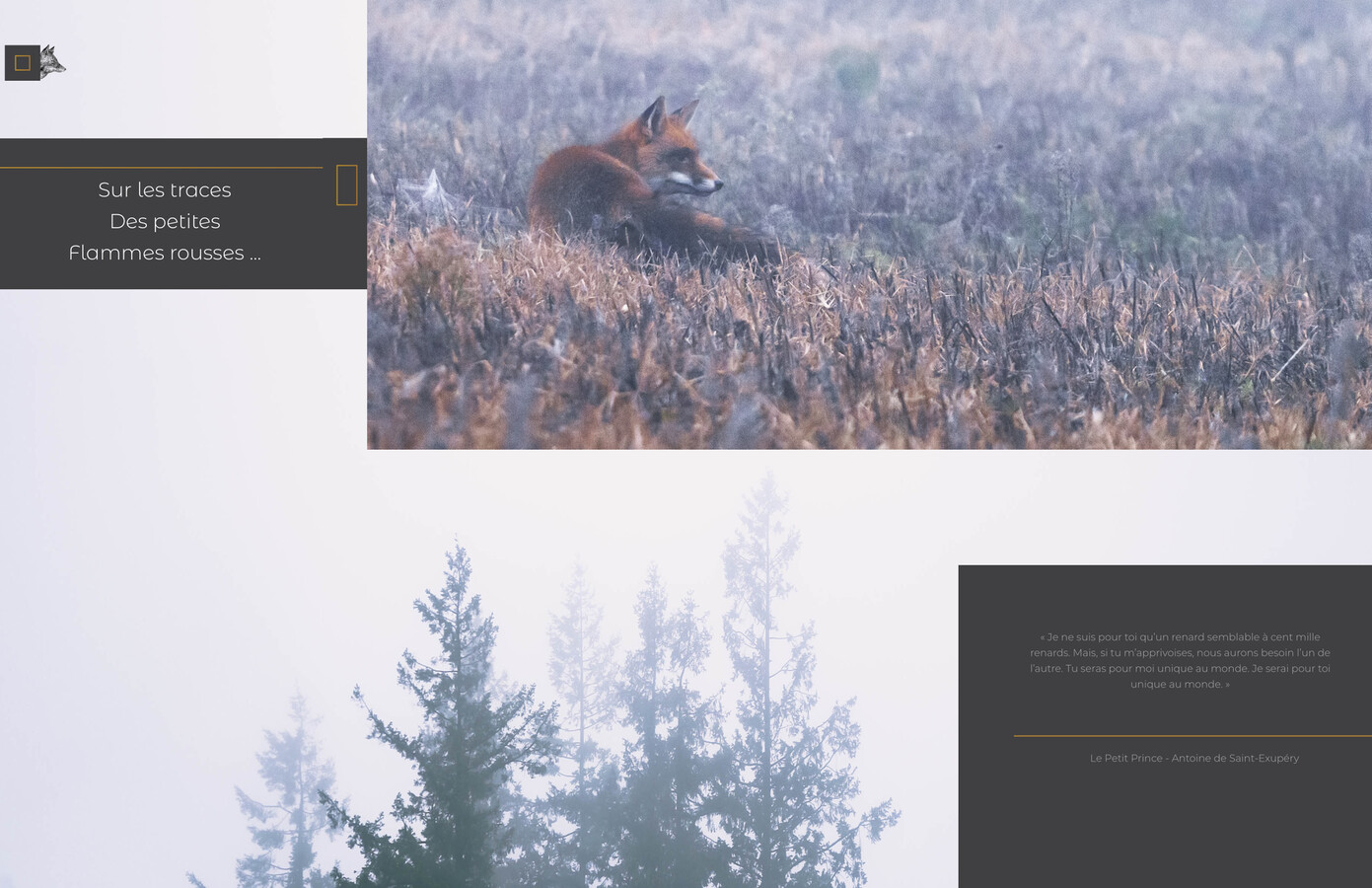 Dossier Documentaire : Le renard Roux by Emeline Lefebvre - Flipsnack