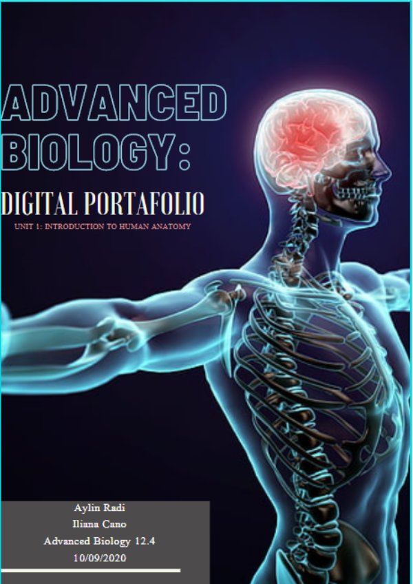 BIOLOGY PORTAFOLIO: INTRO TO HUMAN ANATOMY by aylinradizahran - Flipsnack
