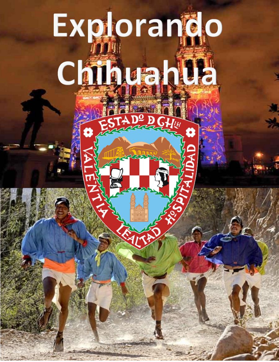 Chihuahua by David Marrufo - Flipsnack