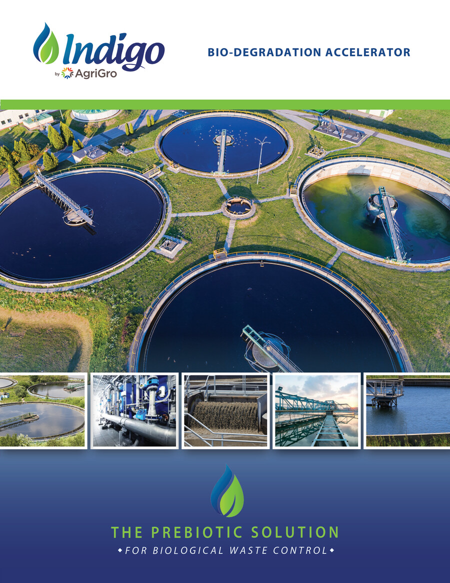Indigo Brochure by AgriGro Inc - Flipsnack