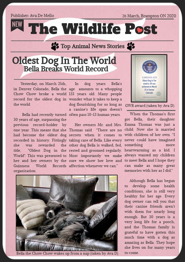 Copy of Copy of My Newspaper The wildlife post by Ava - Flipsnack
