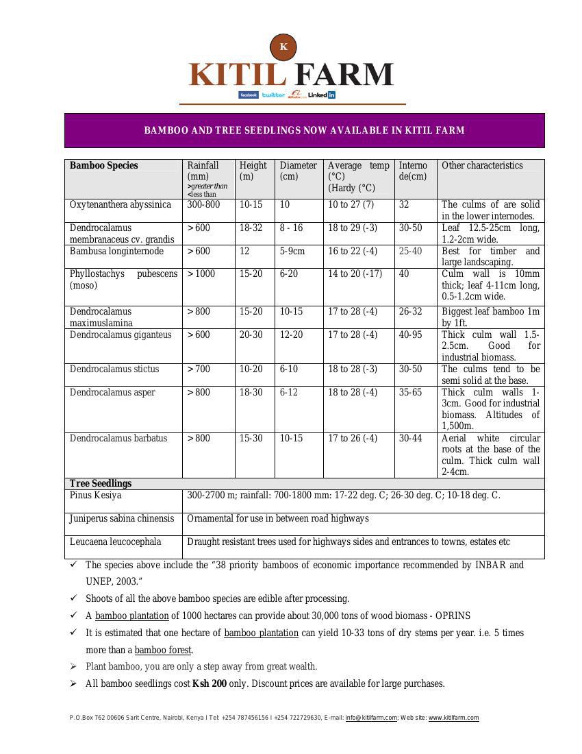 List of bamboo seedlings by Kitil Farm - Flipsnack