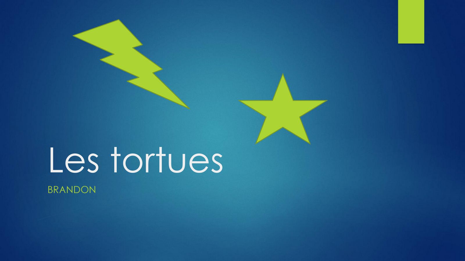 Brandon Tortues by Susan Ens Funk - Flipsnack