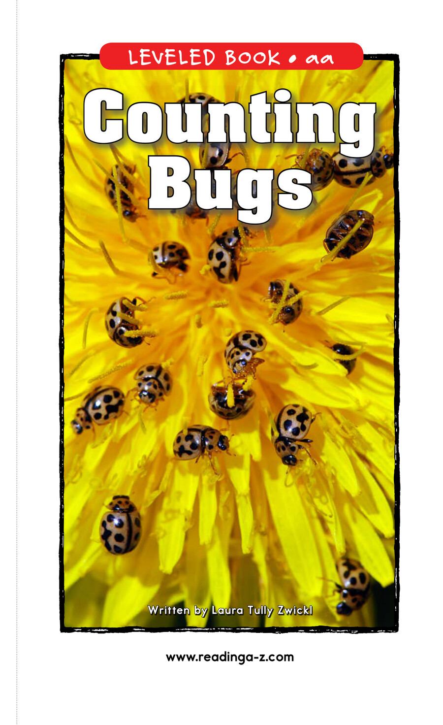 Counting Bugs by Maria Mercedes - Flipsnack