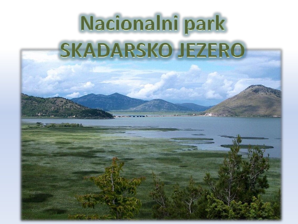 NP Skadarsko jezero by OS Ratko Zaric - Flipsnack