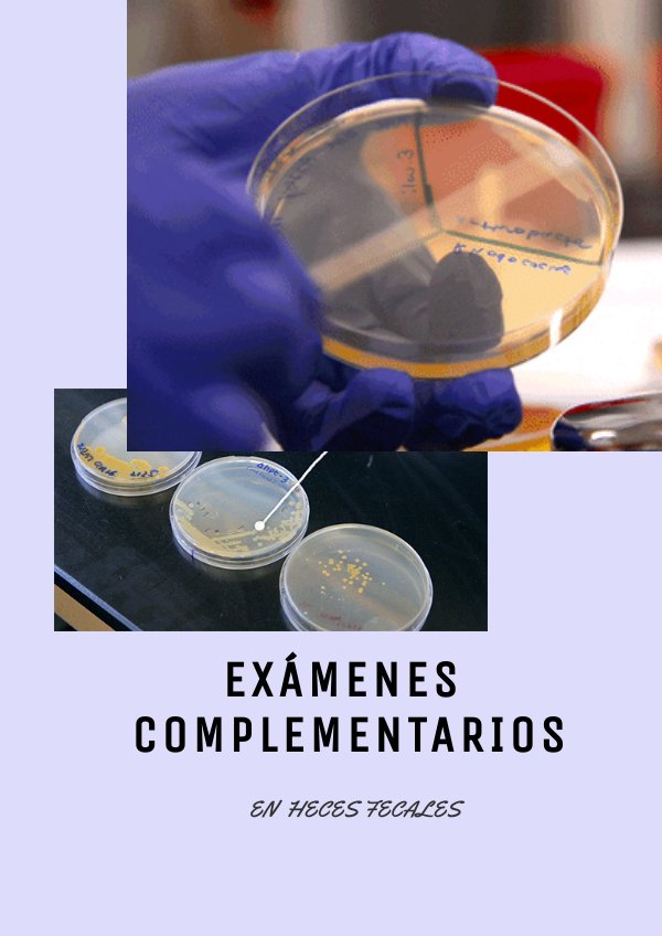 examenes complementarios by a :v - Flipsnack