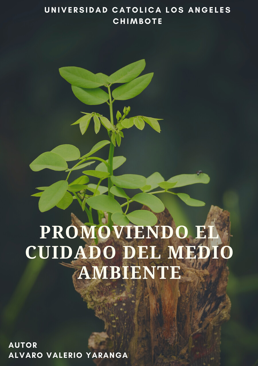 AFICHES PROMOVIENDO CUIDADO DEL MEDIO AMBIENTE by Alvaro valerio ...