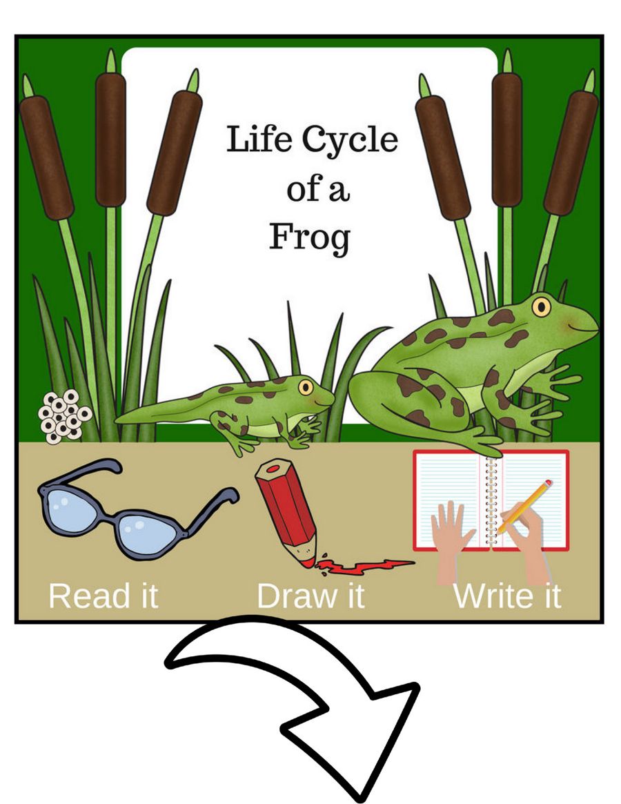 PREVIEW Read it draw it write it frog by CHSH-Teach - Flipsnack