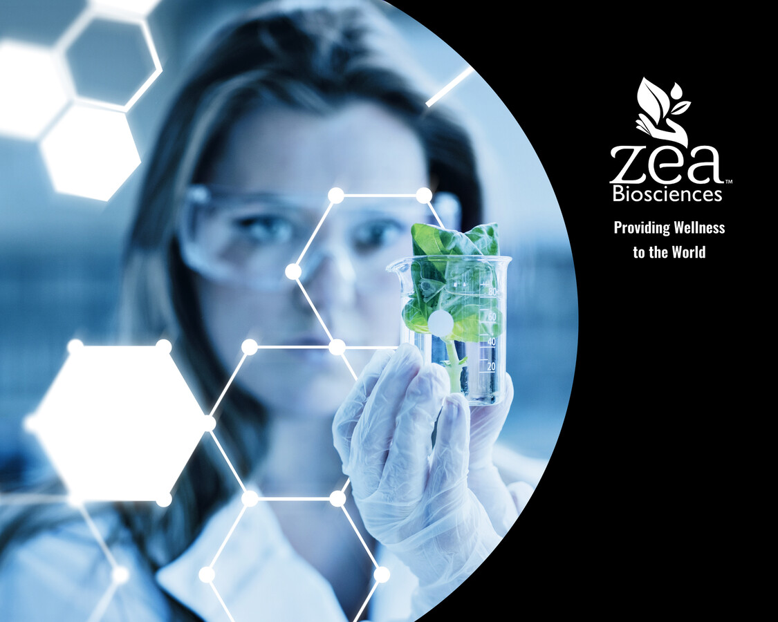 ZEA Overview by Jim Wilson - Flipsnack