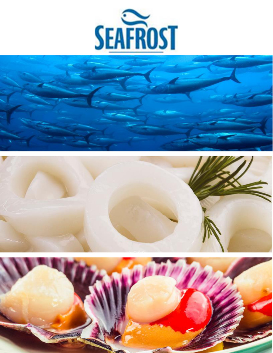 presentacion seafrost by seafrostcomercial - Flipsnack