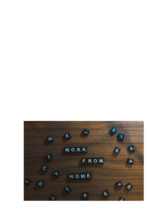 New flipbook by Erin Moniz - Flipsnack