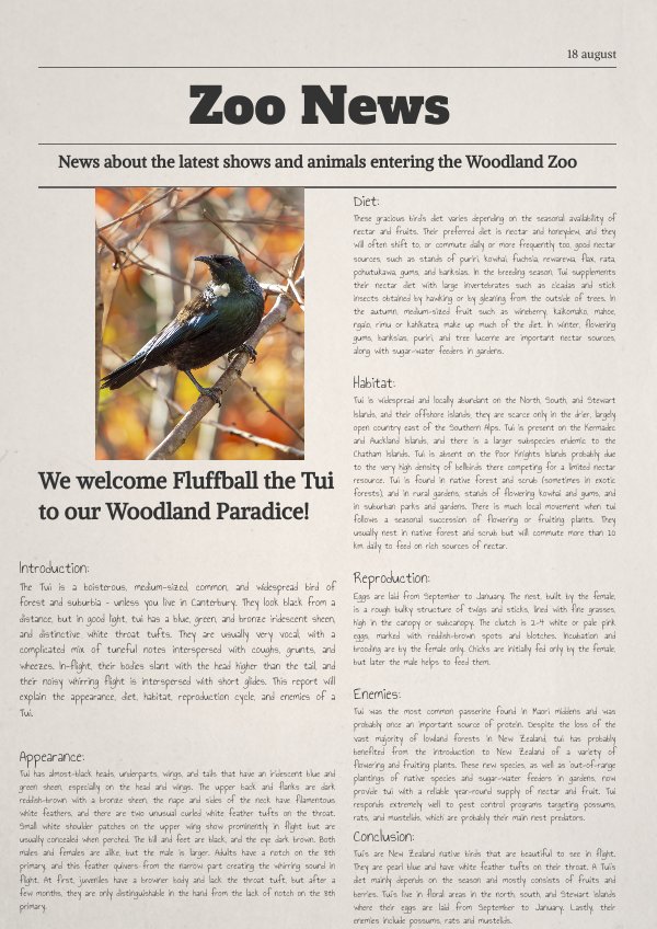 Zoo Newspaper by Emelia - Flipsnack