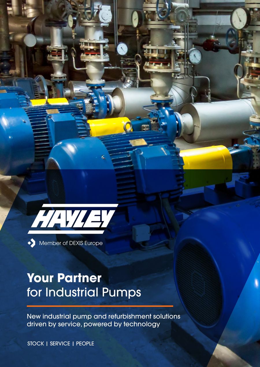 Hayley Pumps Overview Brochure by HAYLEY DEXIS - Flipsnack