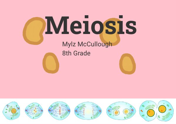 Meiosis Flip Book by Mylz Mccullough - Flipsnack
