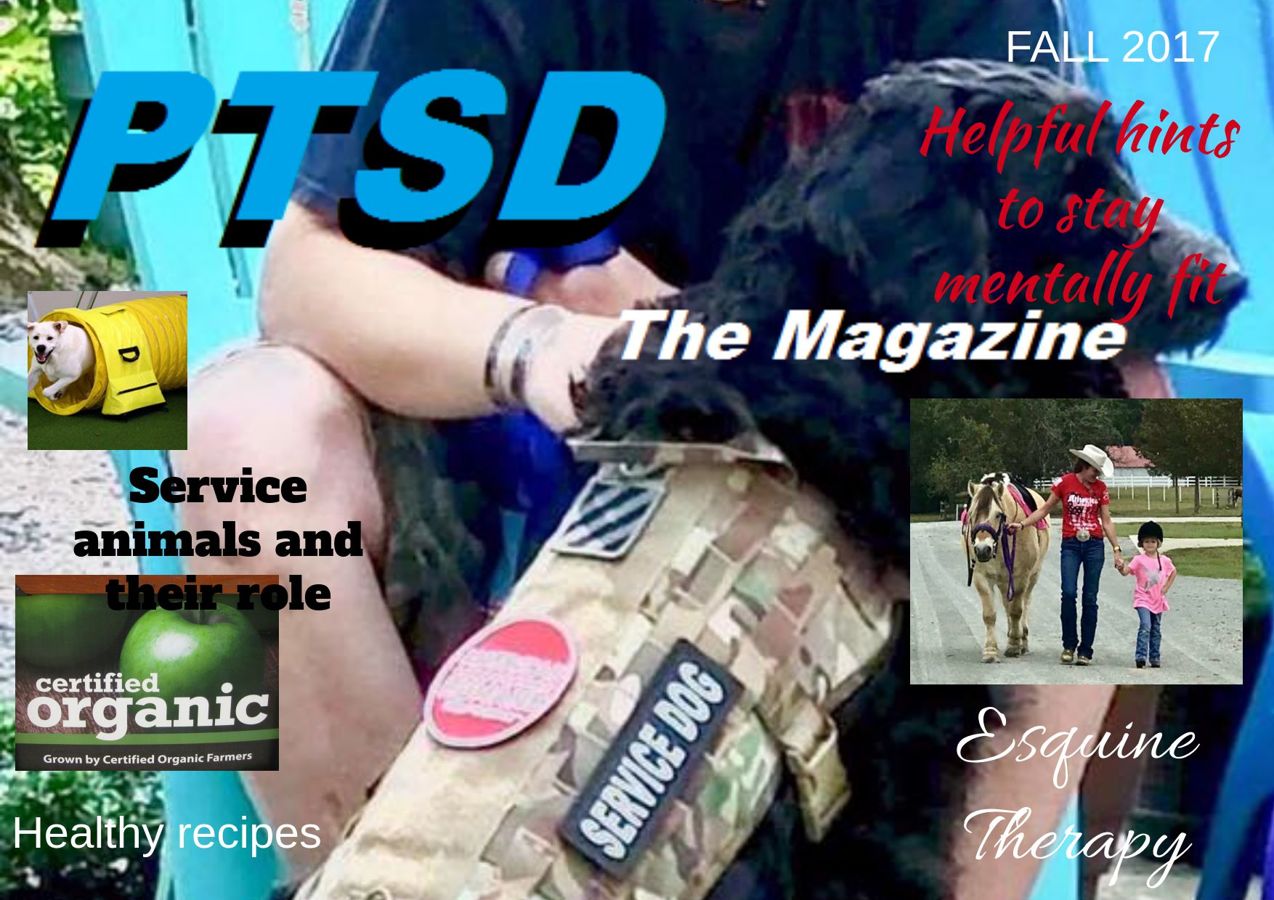 PTSD The Magazine by Michael Fotis - Flipsnack