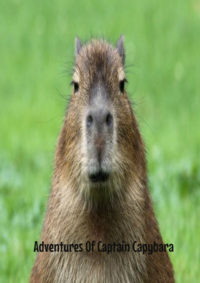 CAPTAIN CAPYBARA by Audrey - Flipsnack