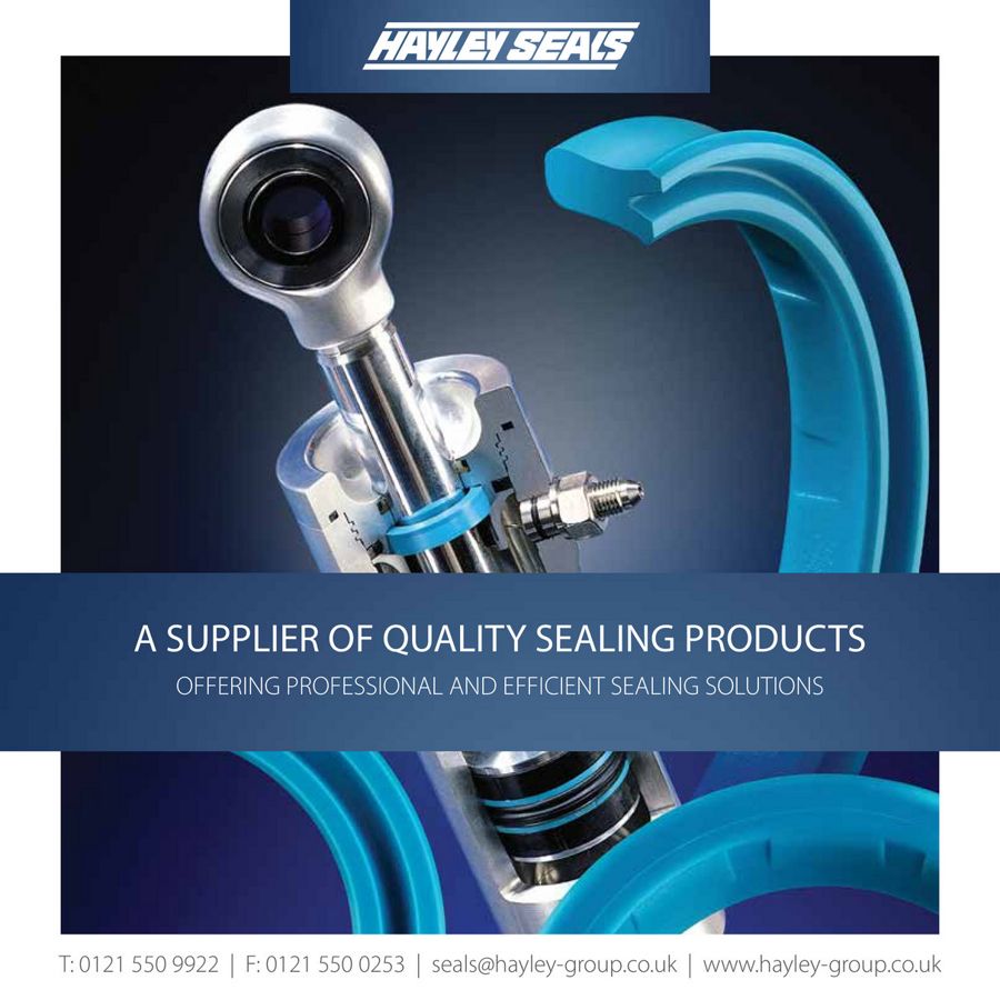 Hayley Group - Seals Overview by HAYLEY DEXIS - Flipsnack