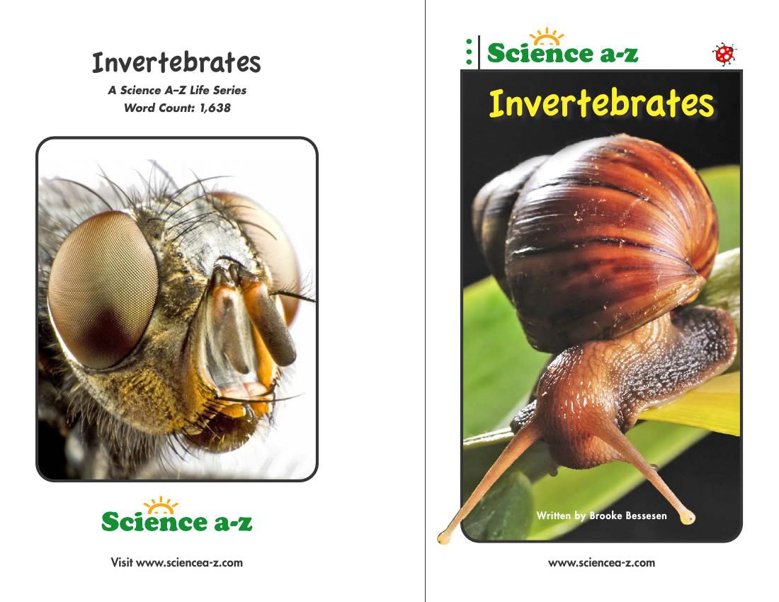 Invertebrates by Laura - Flipsnack