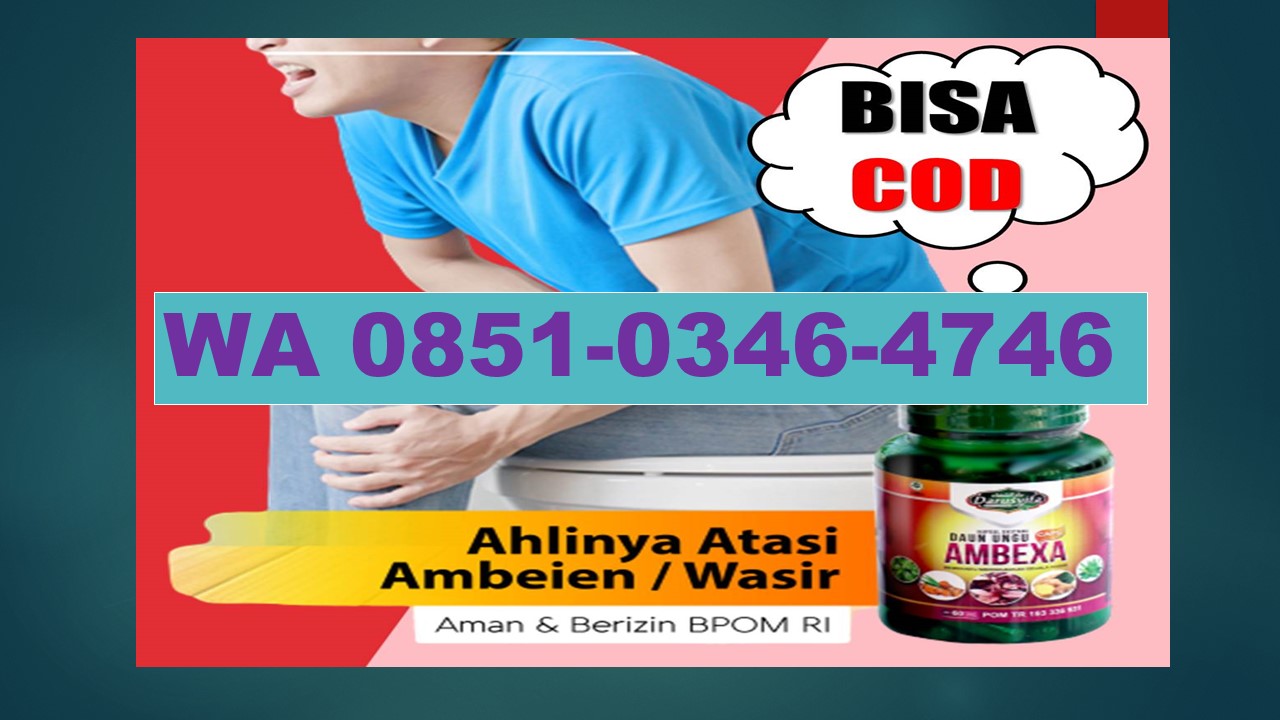 WA 0851-0346-4746 Jual Ambexa Obat Herbal Wasir Ambeien SEMARANG by ...