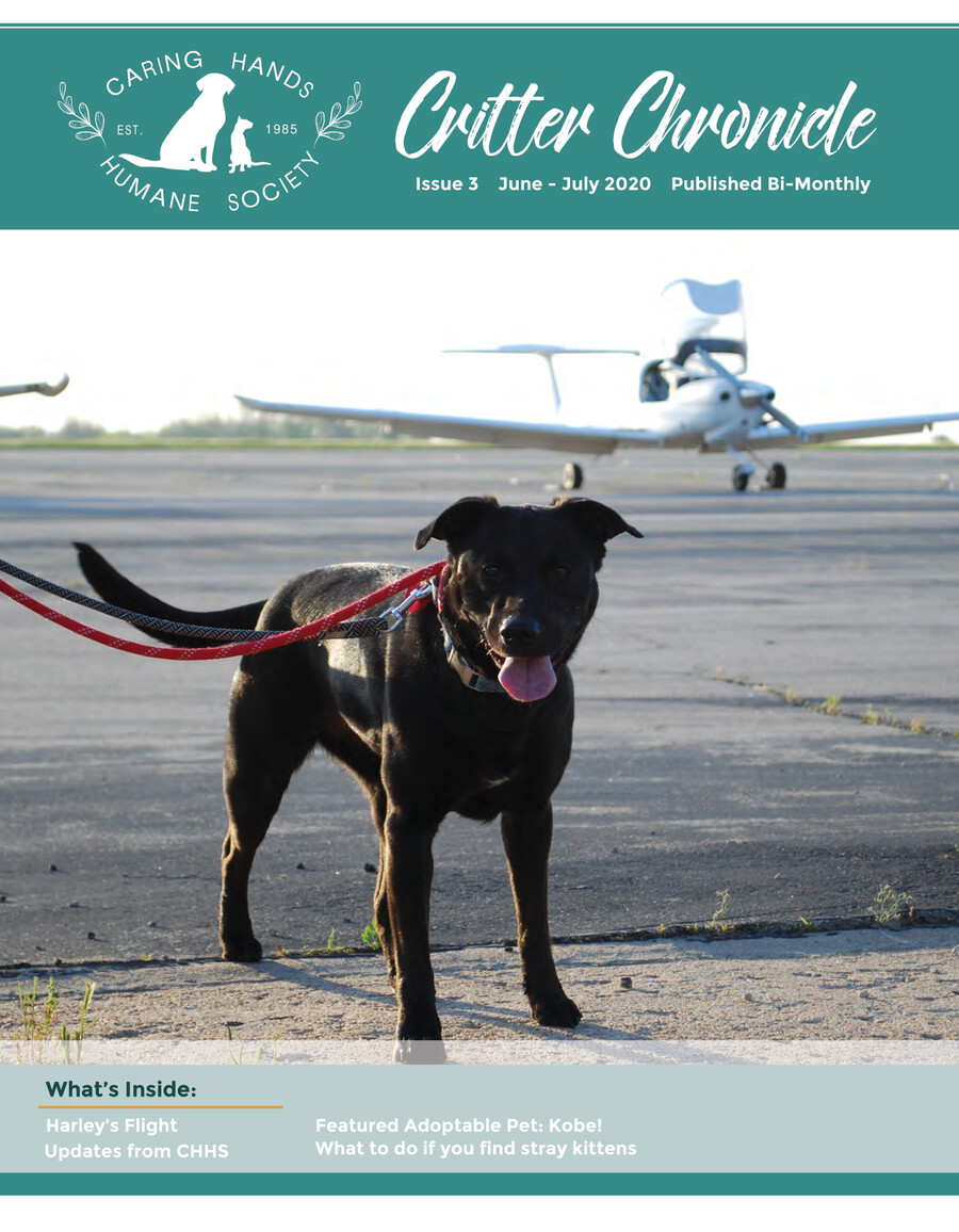 june july 2020 by Kevin Geraci - Flipsnack