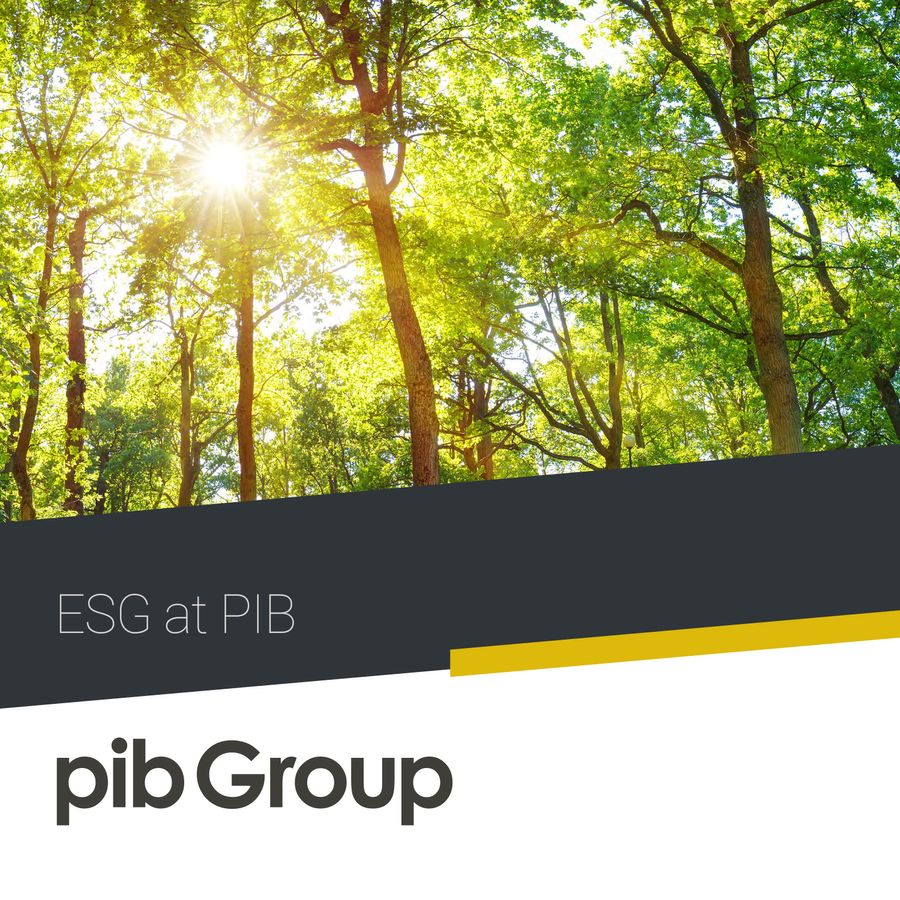 PIB Group_ESG at PIB_FINAL by Lorraine Hambleton - Flipsnack