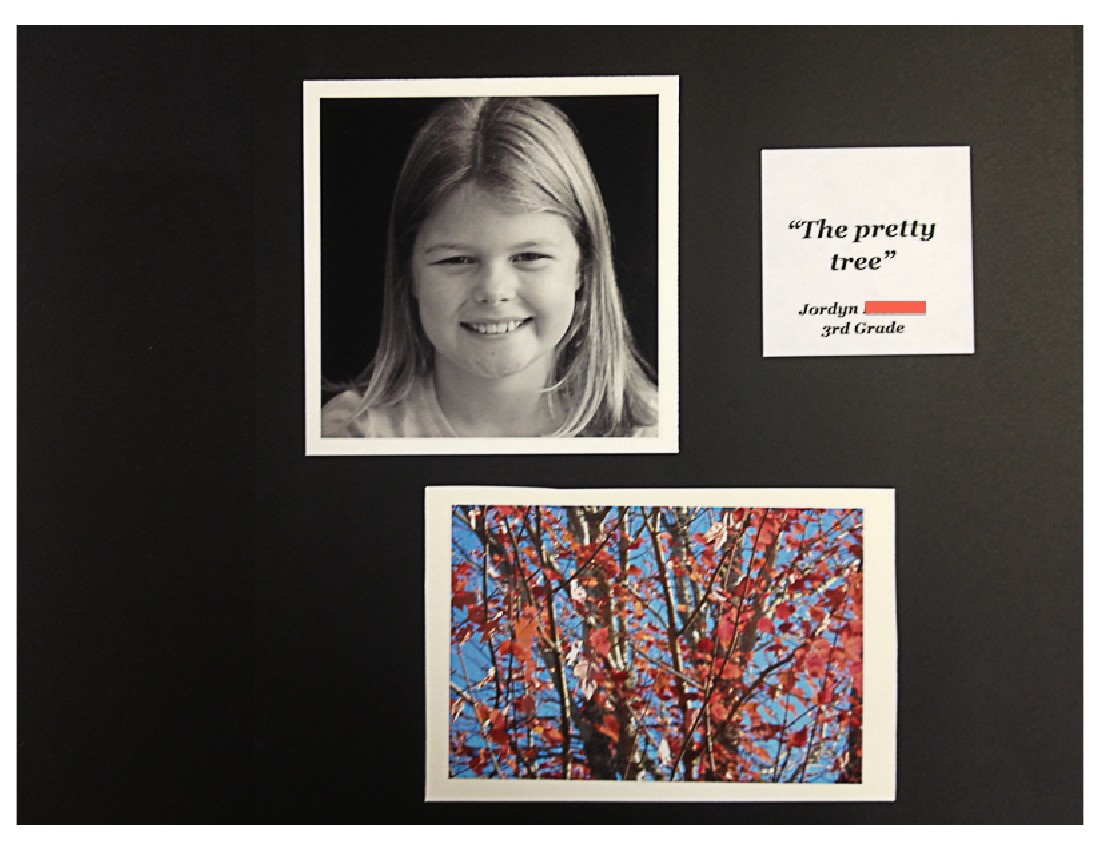 3rd Grade Photography Project by callahanb - Flipsnack