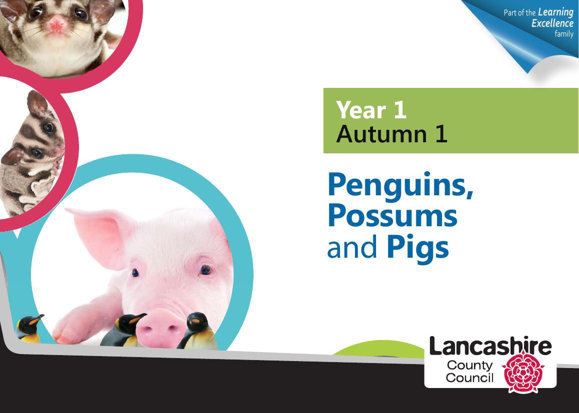 Year 1 Autumn 1 - Penguins Possums and Pigs by Lynsey Edwards - Flipsnack