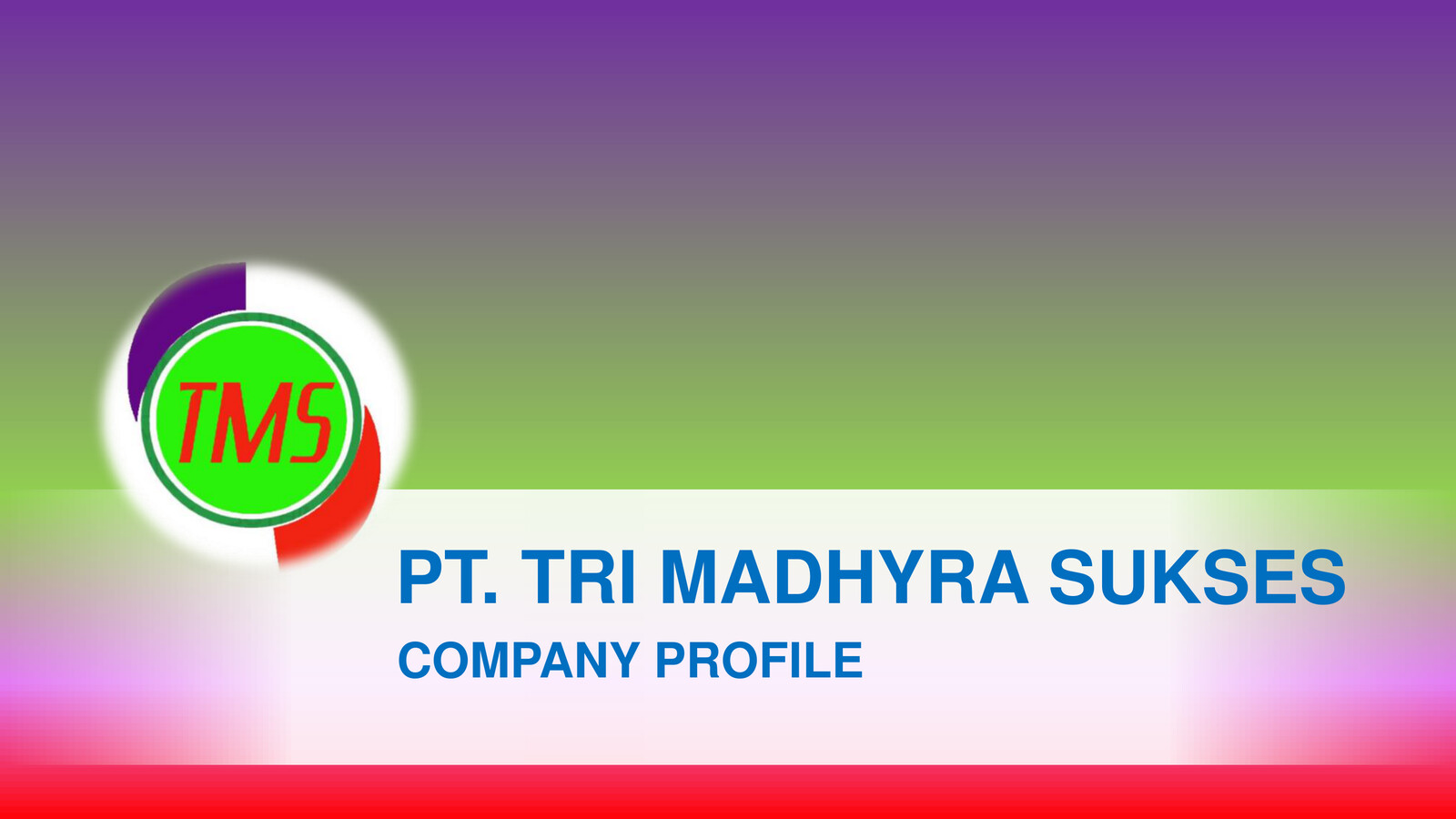 TMS COMPANY PROFILE 2020 by - Flipsnack