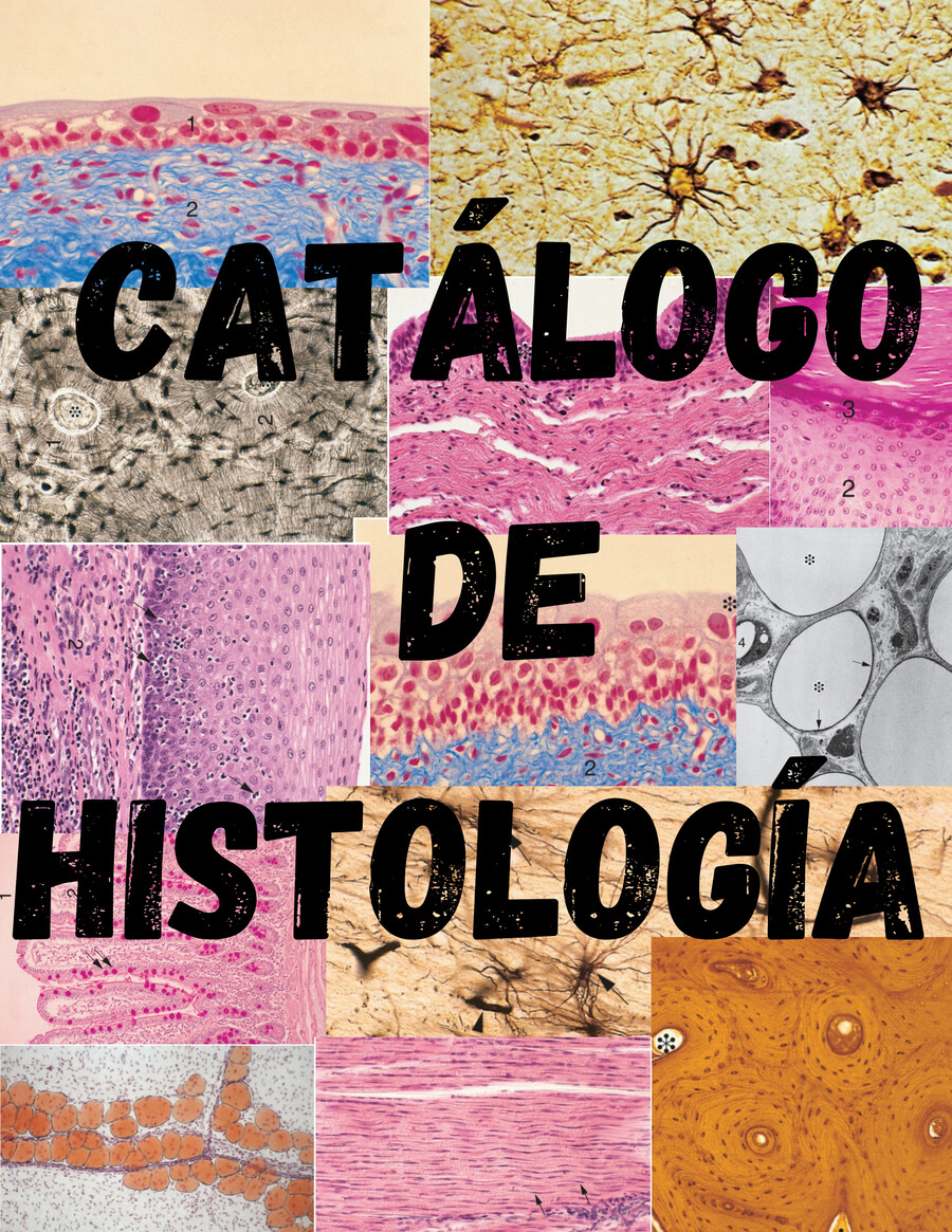Catálogo Histología by Rosario... - Flipsnack
