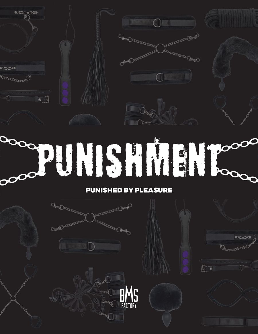Punishment Flyer by BMS Enterprises - Flipsnack