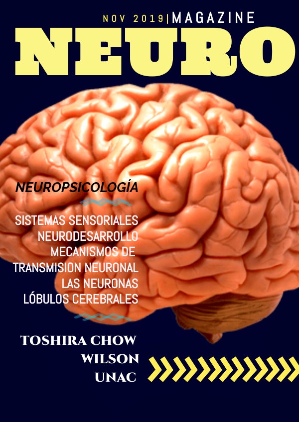 Neuro Magazine by TOSHIRA... - Flipsnack