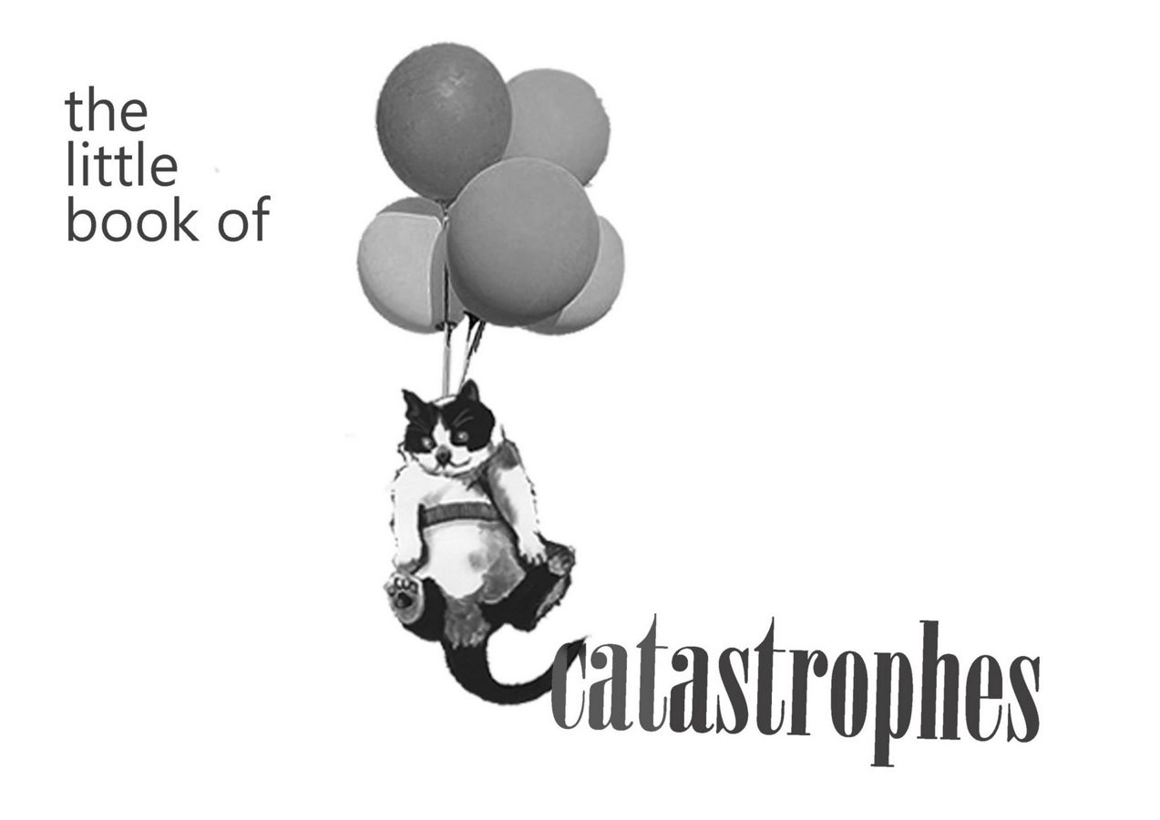 The little book of CATastrophes by Michelle Dowdall - Flipsnack