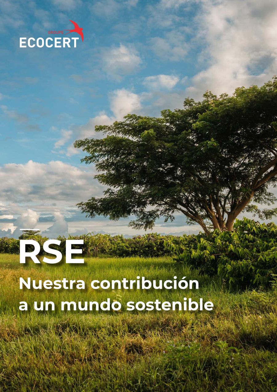 Informe RSE by Audrey Baron - Flipsnack