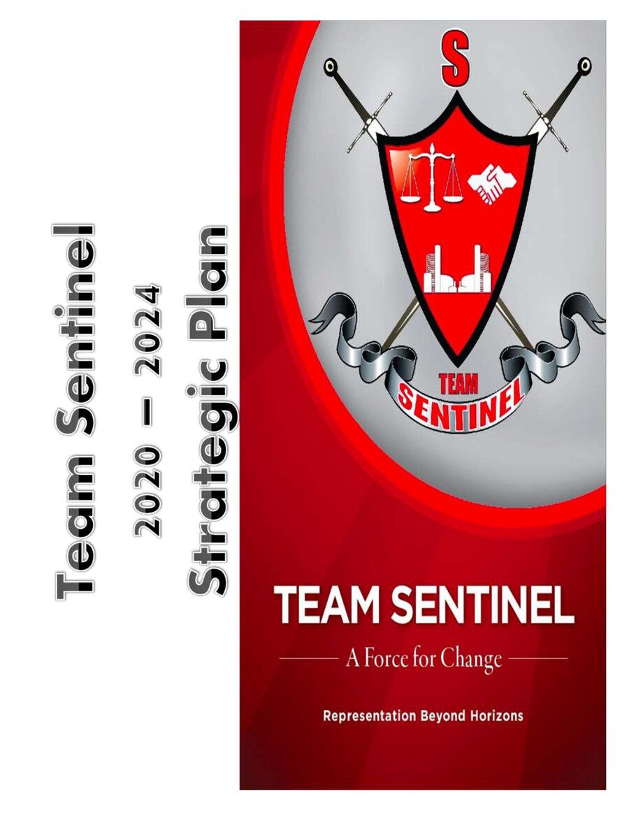 Team Sentinel 2020-2024 Strategic Plan by - Flipsnack