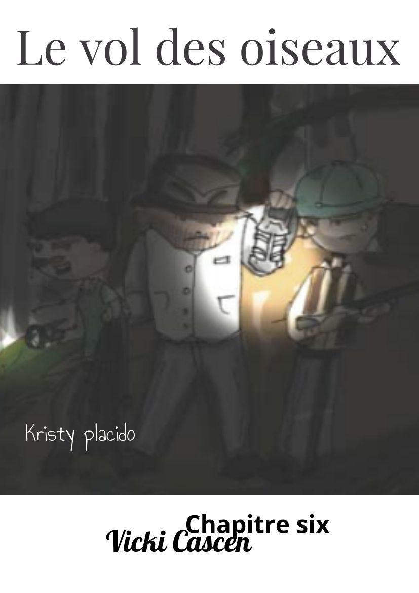 Les vol des oiseaux by Vicki Cascen - Flipsnack
