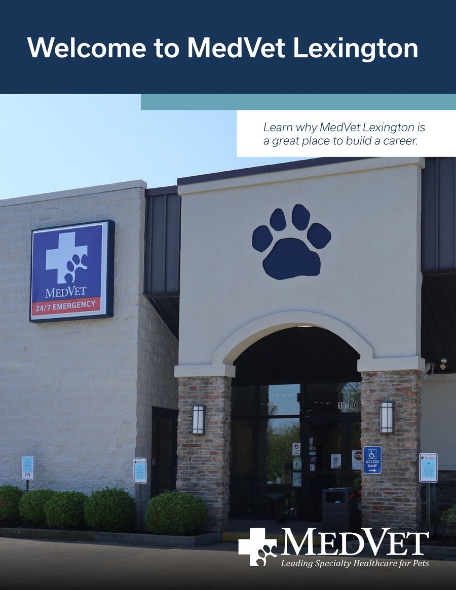 MedVet Lexington Digital Magazine