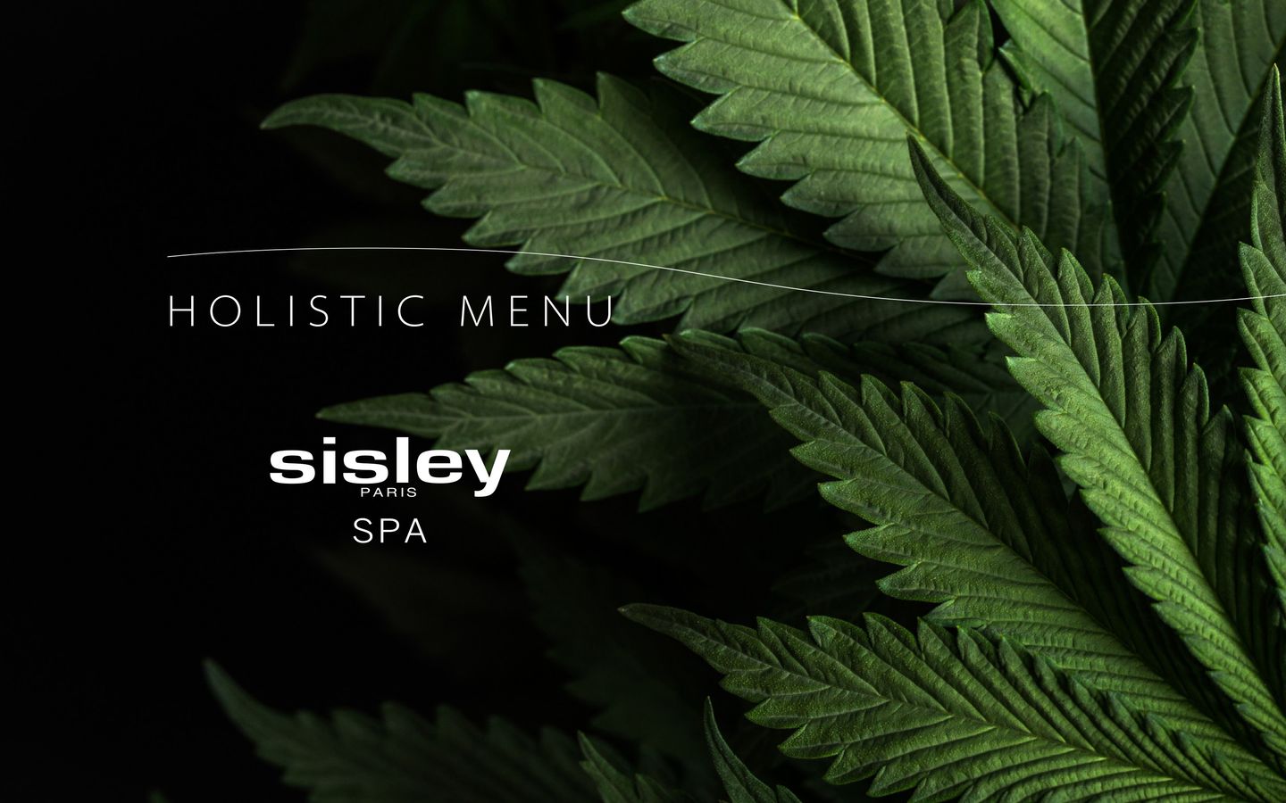 Sisley Spa Holistic Menu by Trilogy Spa... - Flipsnack