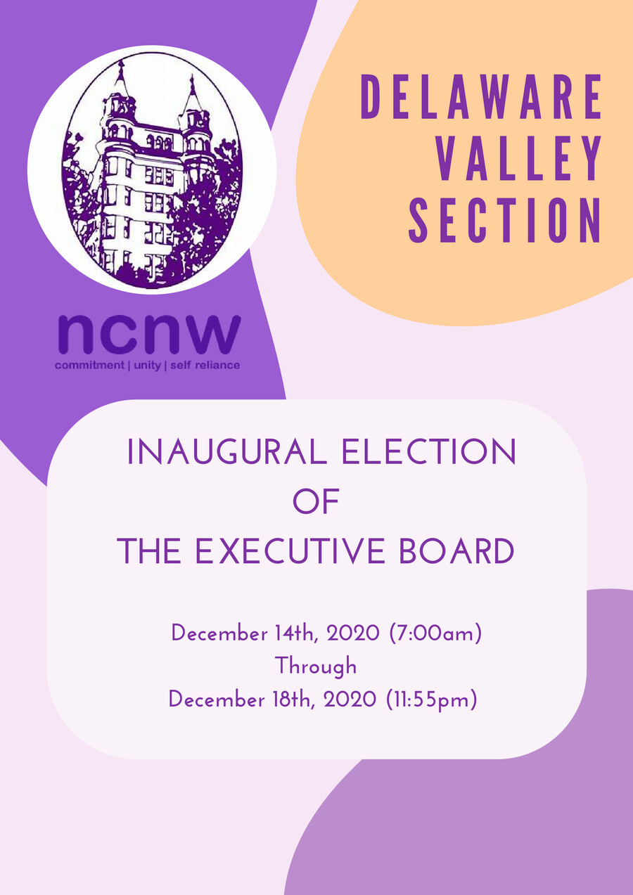 NCNW 2020 Election Packet-Final by Karima Bouchenafa - Flipsnack