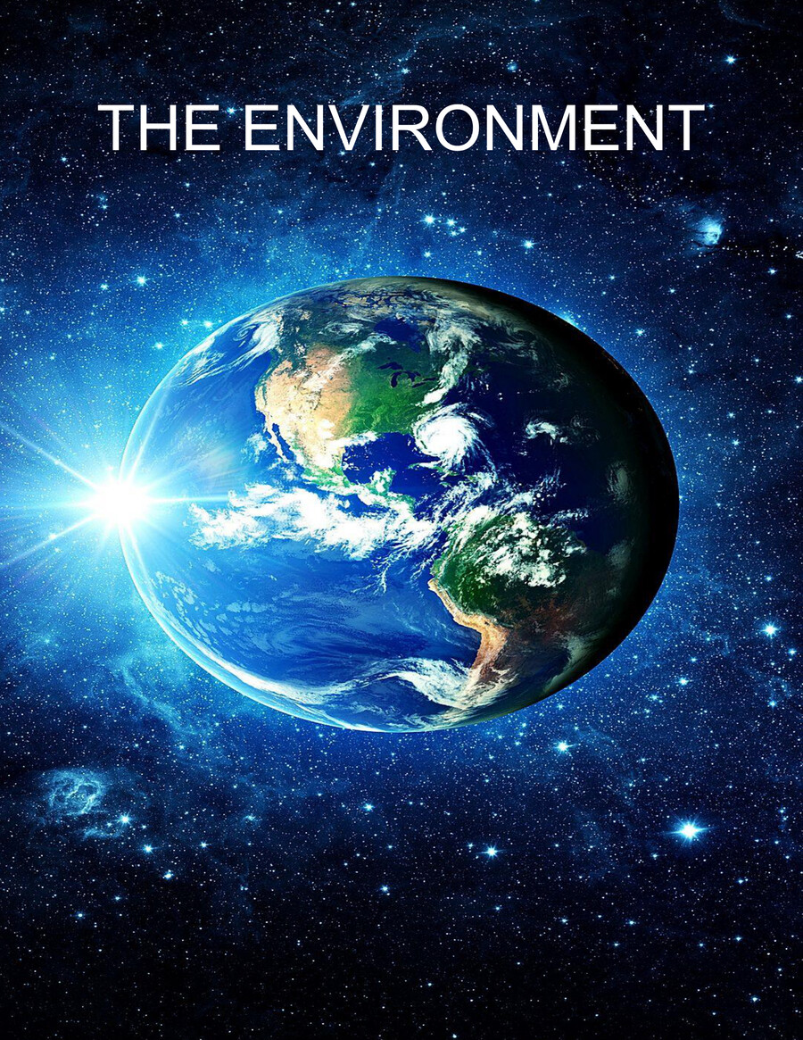 THE ENVIRONMENT Assignment by Monhgerel... - Flipsnack