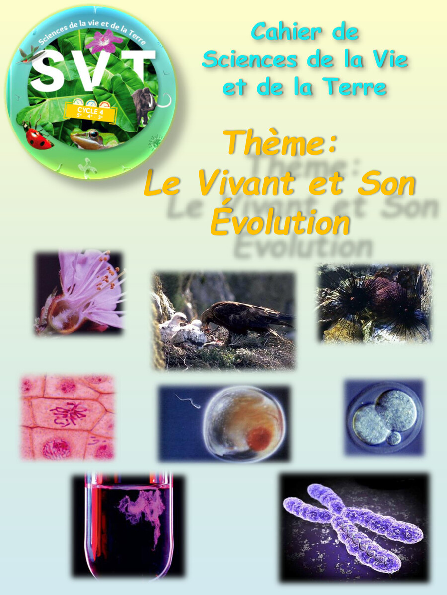 Le Vivant Et Son Évolution Svt 5Ème – GARAKD