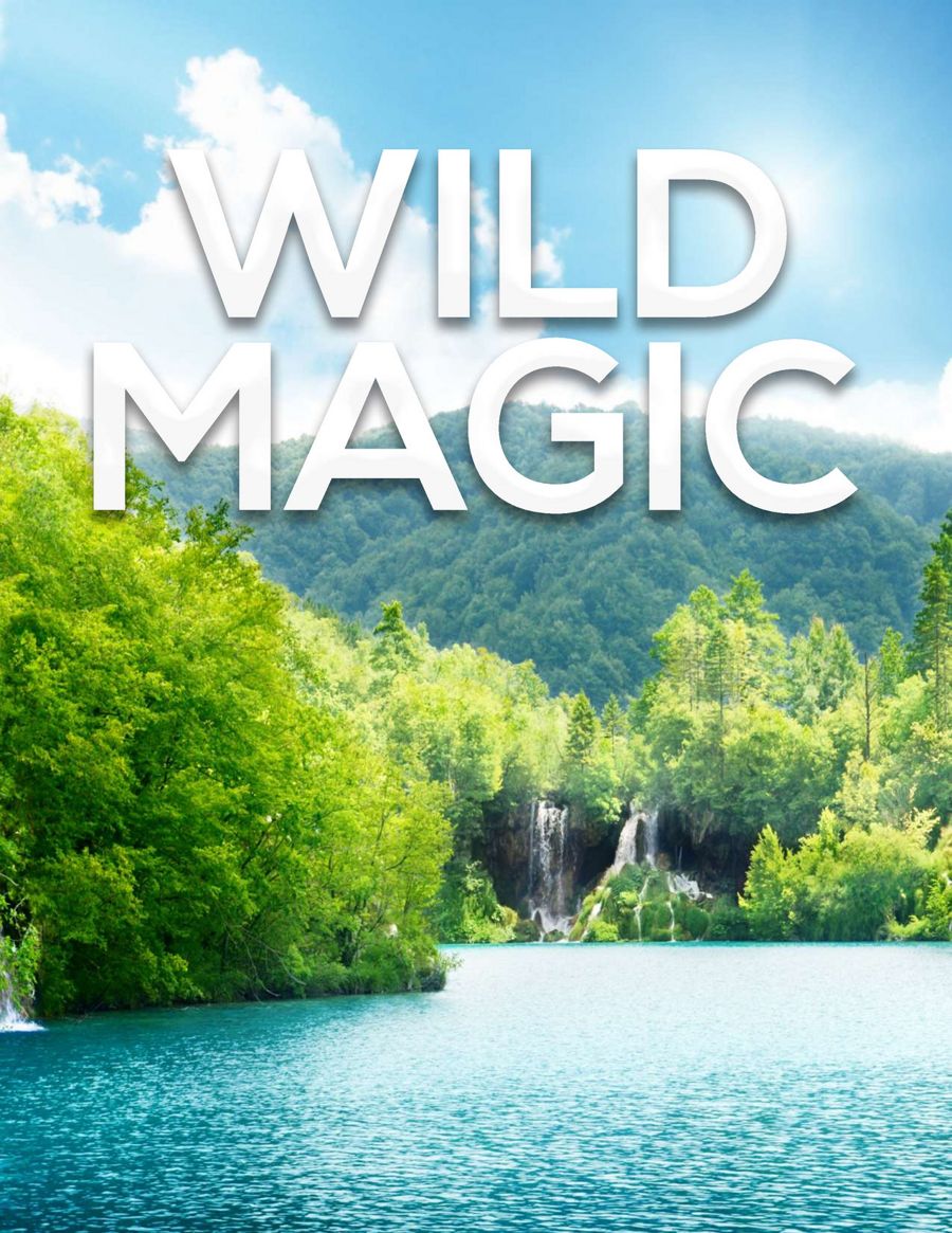 Wild Magic Manuela Zuluaga by tareamanu - Flipsnack