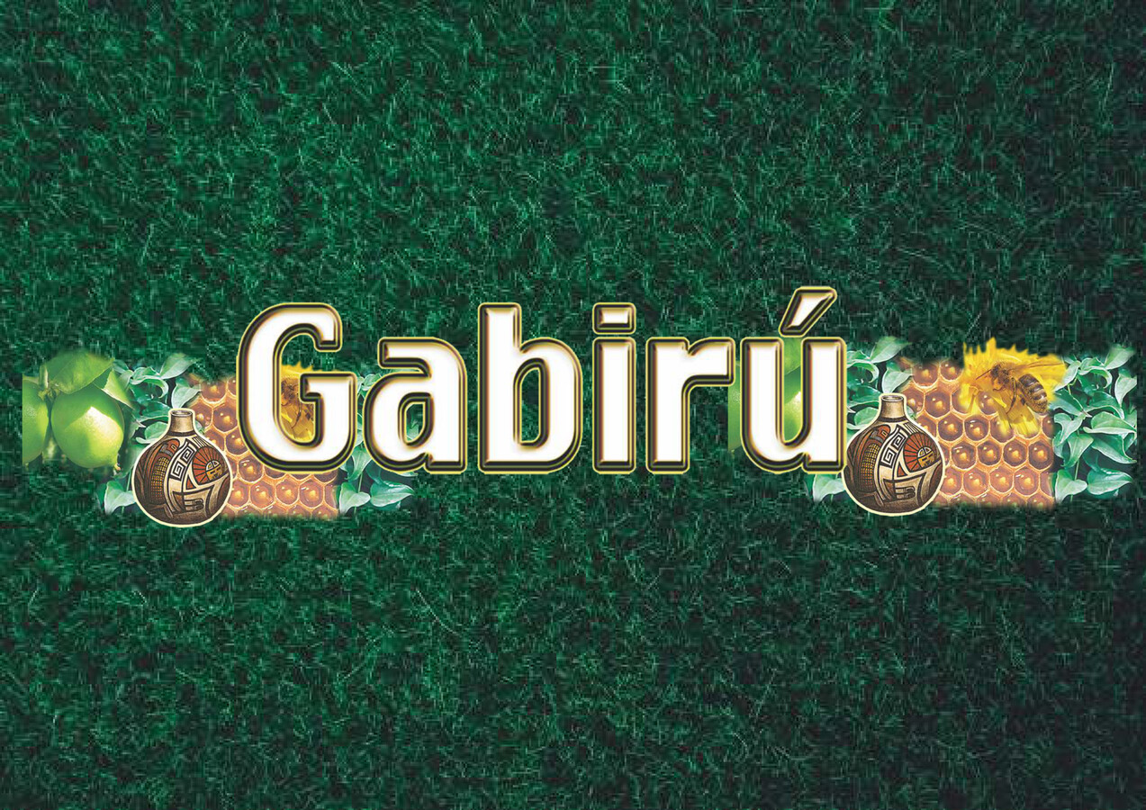 CATÁLOGO XAROPE GABIRÚ by - Flipsnack