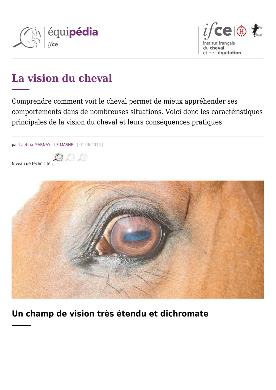 Fiche équipédia La vision du cheval by Juliette - Flipsnack